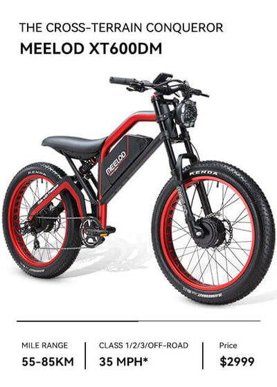 Meelod's Vintage eBikes - Retro Style Meets Modern Performance