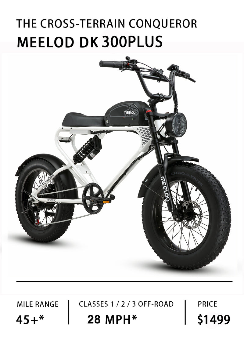 Meelod's Vintage eBikes - Retro Style Meets Modern Performance