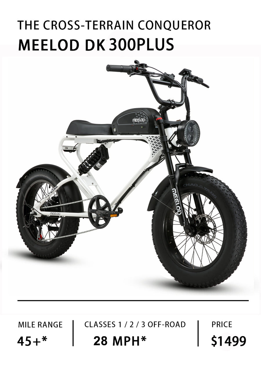 Meelod's Vintage eBikes - Retro Style Meets Modern Performance