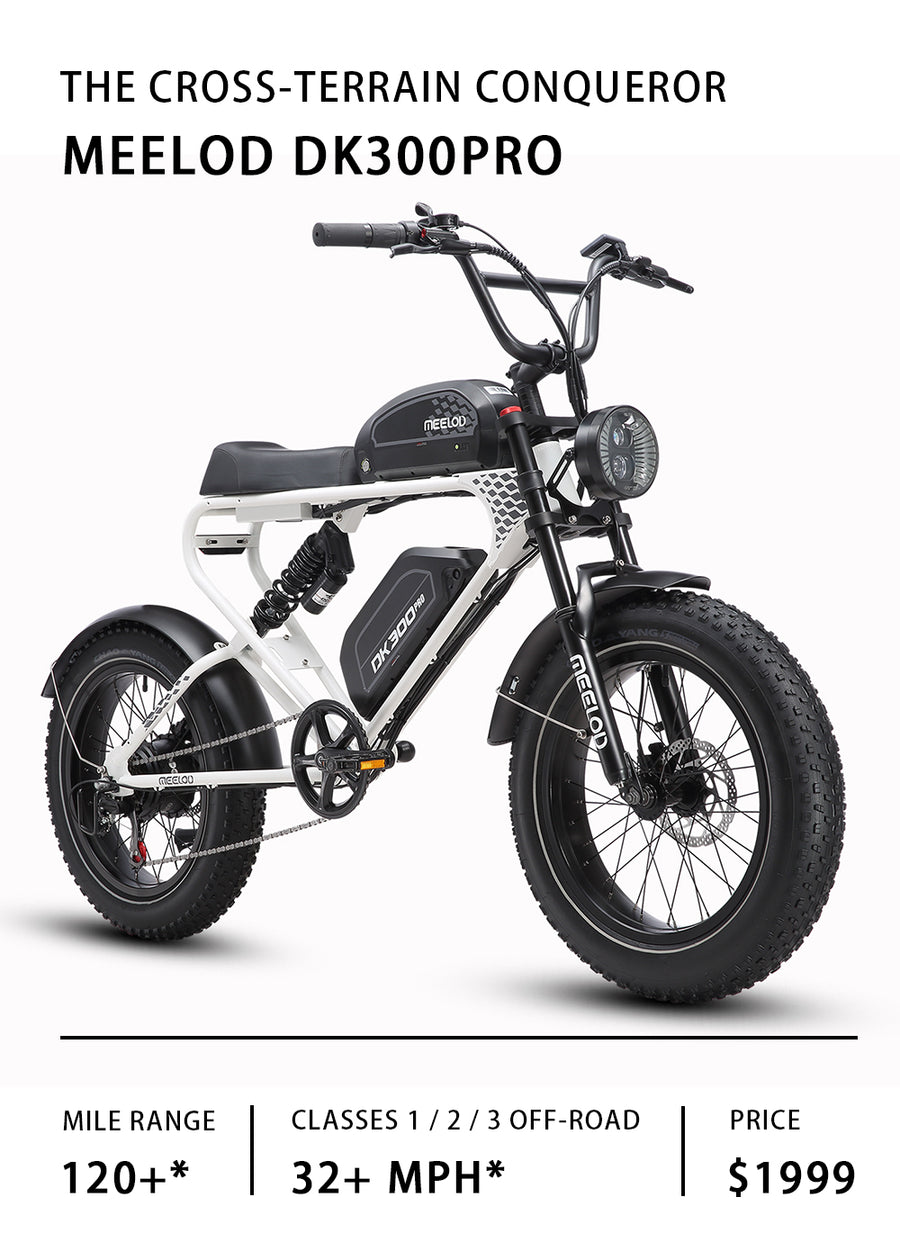 Meelod's Vintage eBikes - Retro Style Meets Modern Performance